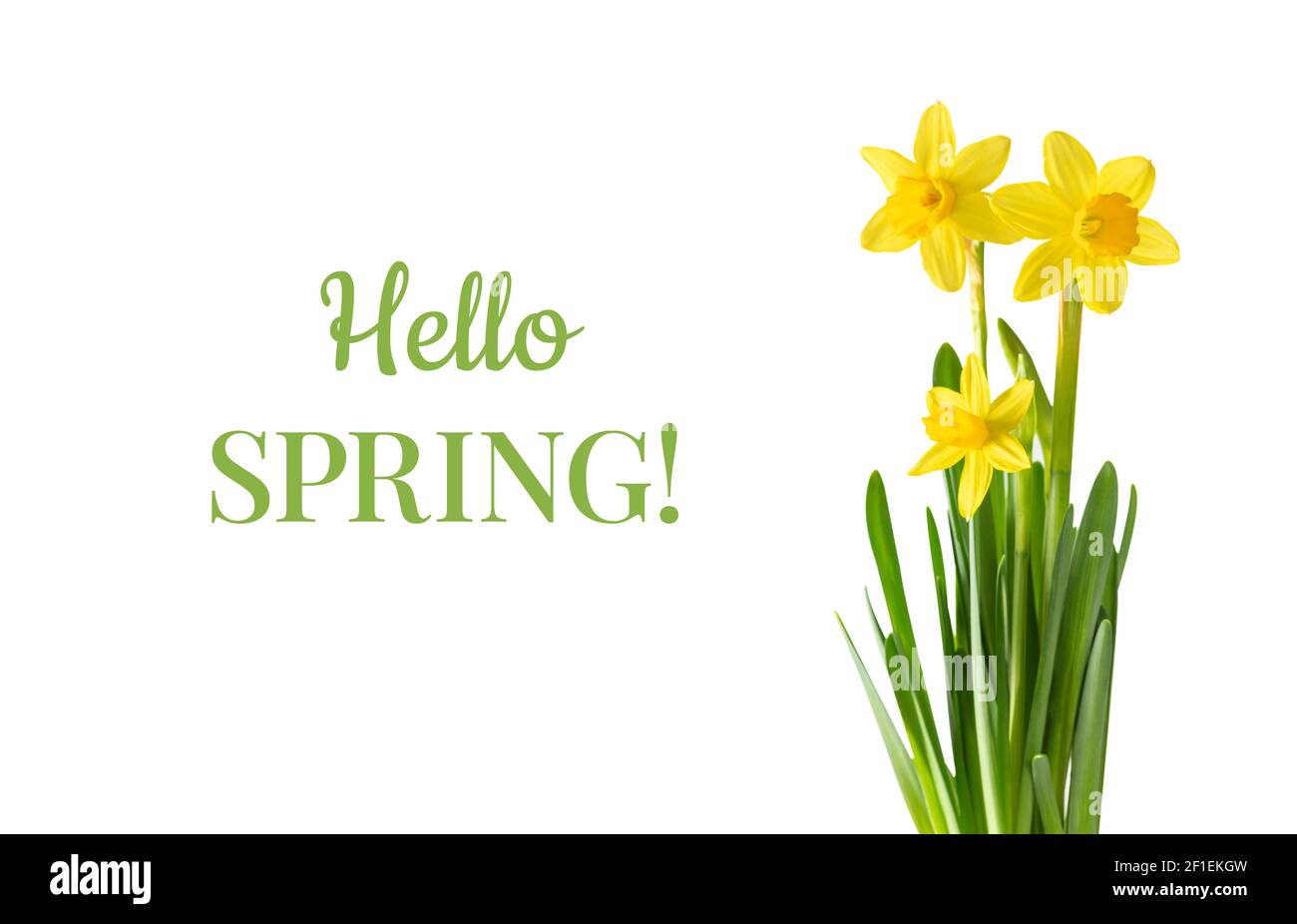 Hello Spring Facebook Cover