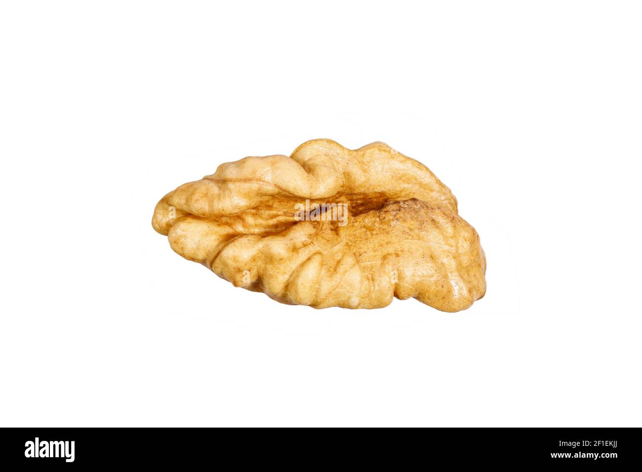 slice of peeled walnut isolated on white background. High quality photo ...
