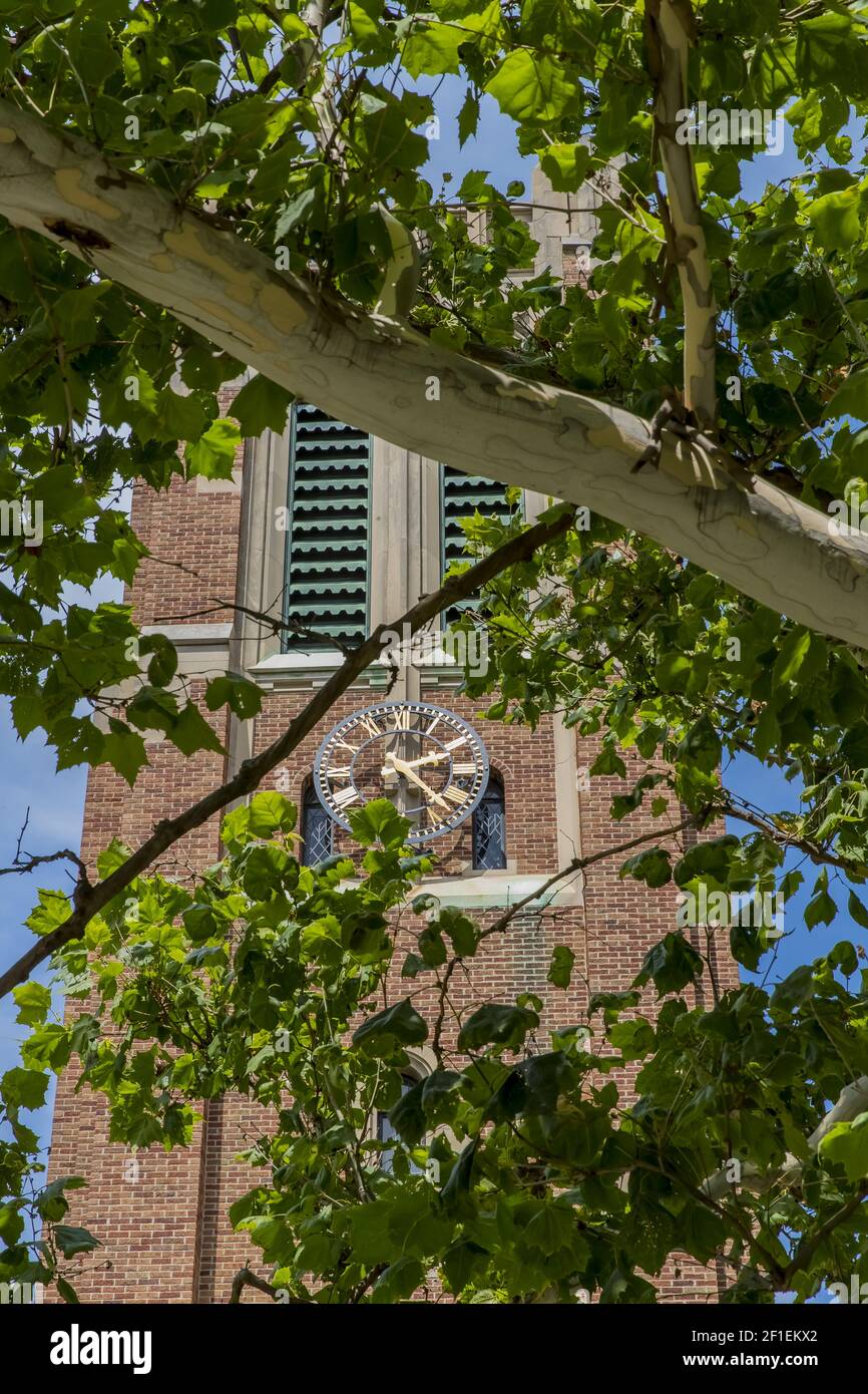 Beaumont Tower at Michigan State University Stock Photo - Alamy