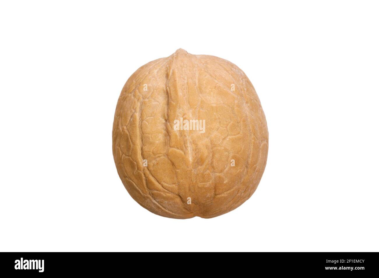 walnut in shell isolated on white background. High quality photo Stock ...