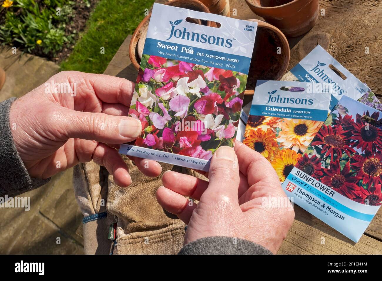 Hands holding flower seeds hi-res stock photography and images - Alamy