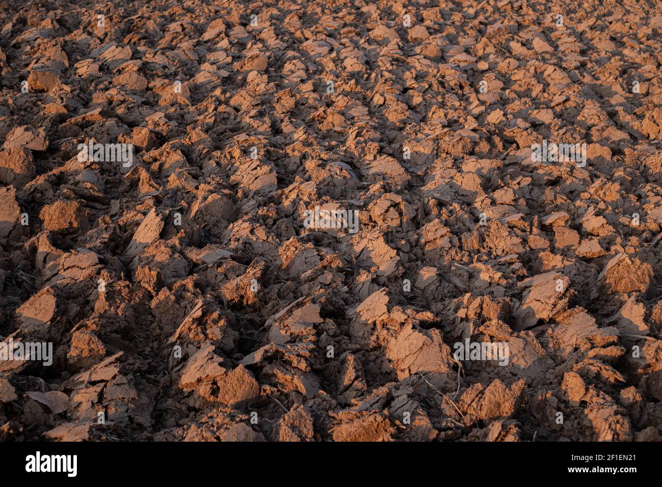 Fertile farm soil ready hi-res stock photography and images - Alamy