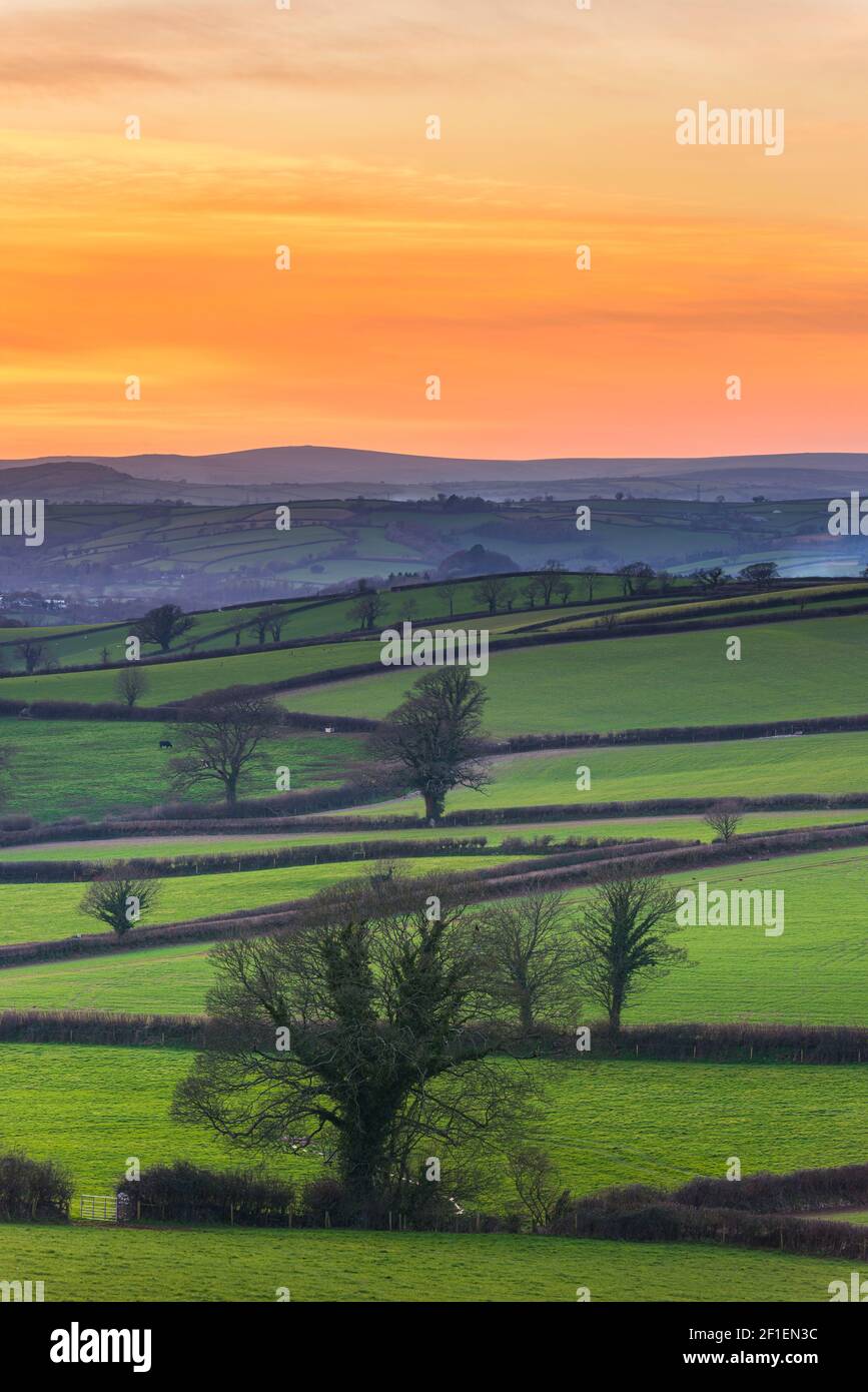 Devon sunset hi-res stock photography and images - Alamy