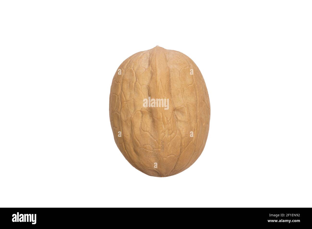 walnut in shell isolated on white background. High quality photo Stock ...