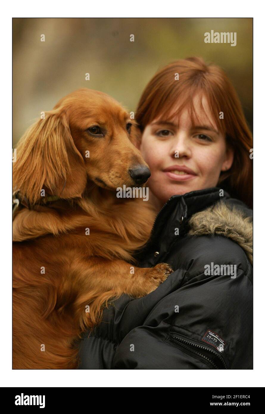 Preparing for the ring Rovi Kelner (dachshund) with handler Chamois ...