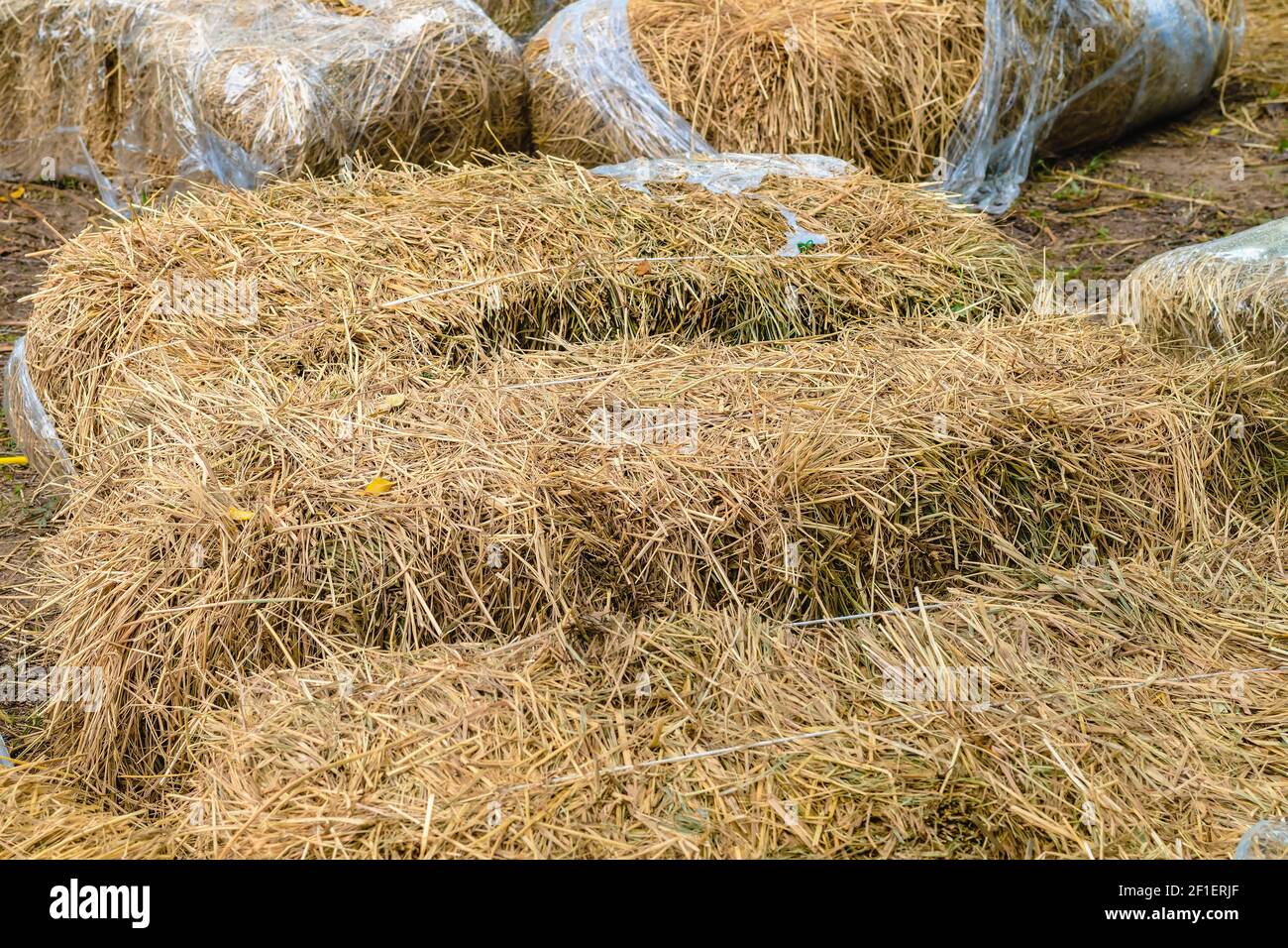 Pallet Seats High Resolution Stock Photography and Images - Alamy