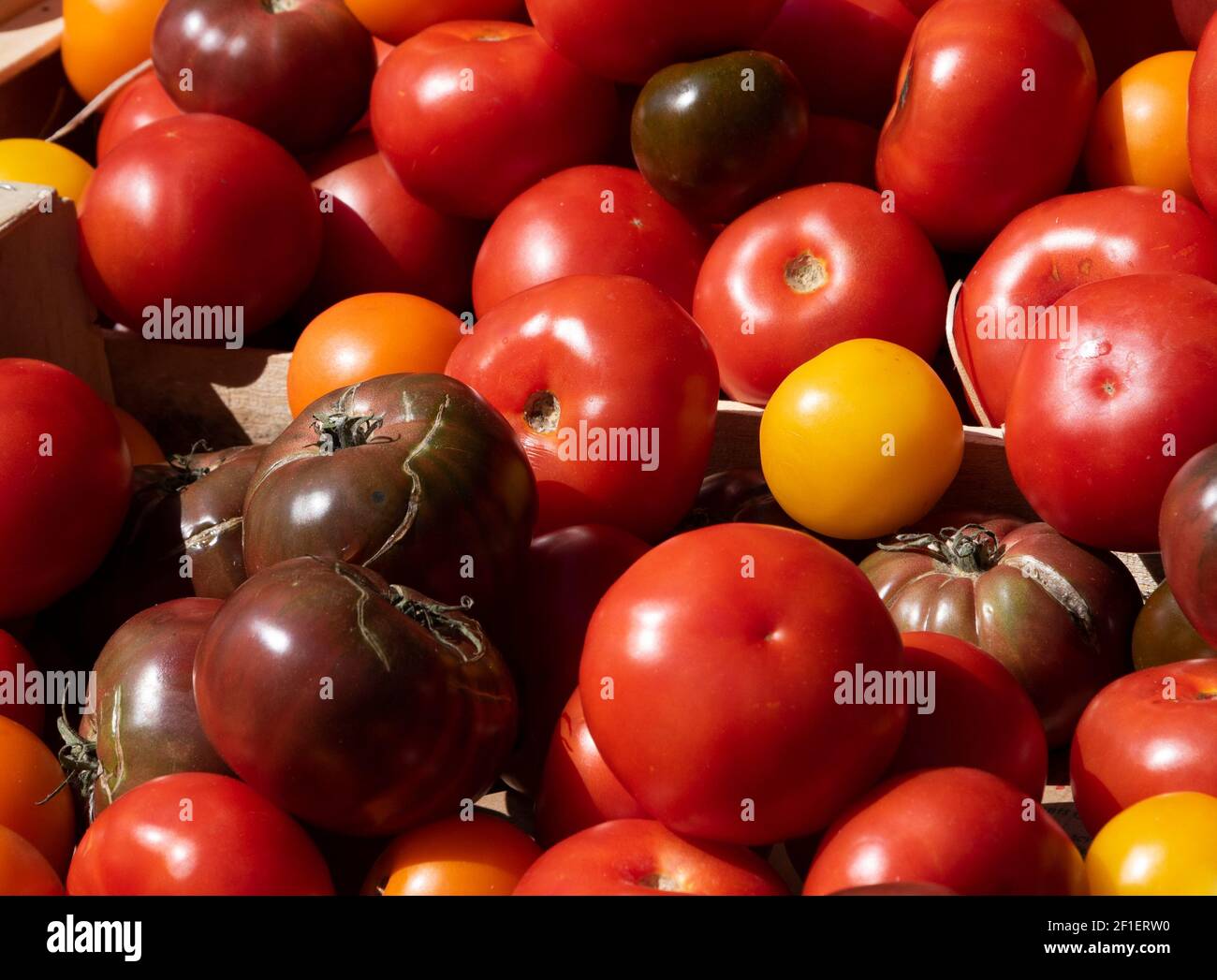 Different colorful tomato breeds from Provence at farmers market in ...