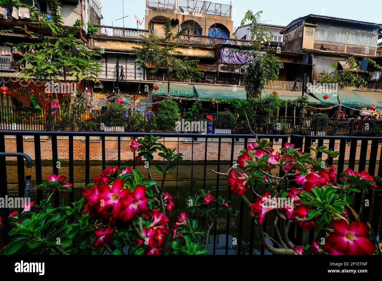 Khong Ong Ang Walking Street, Bangkok, Thailand Stock Photo - Alamy