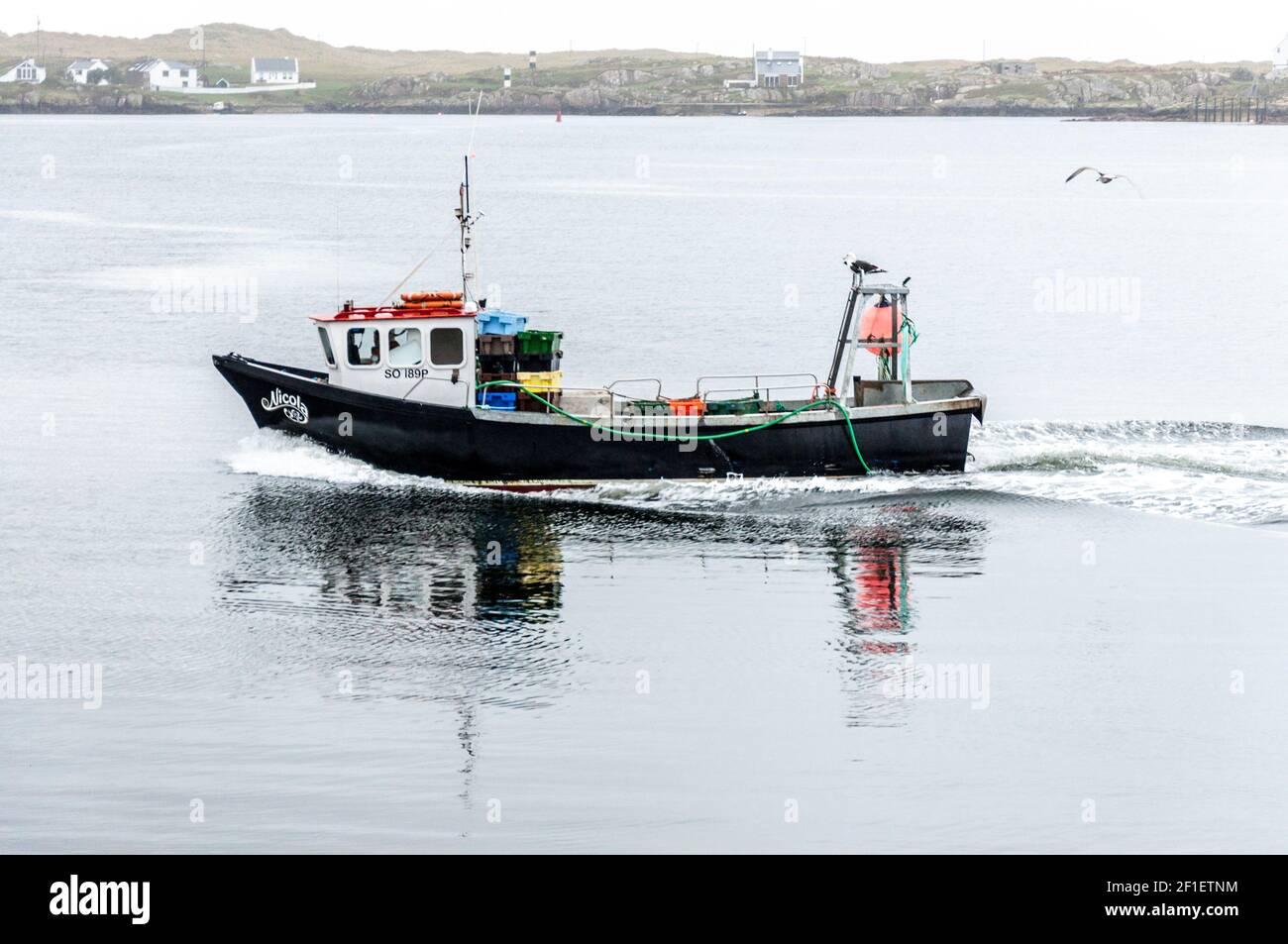Inshore fishing boats at Burtonport harbour, County Donegal, Ireland ...