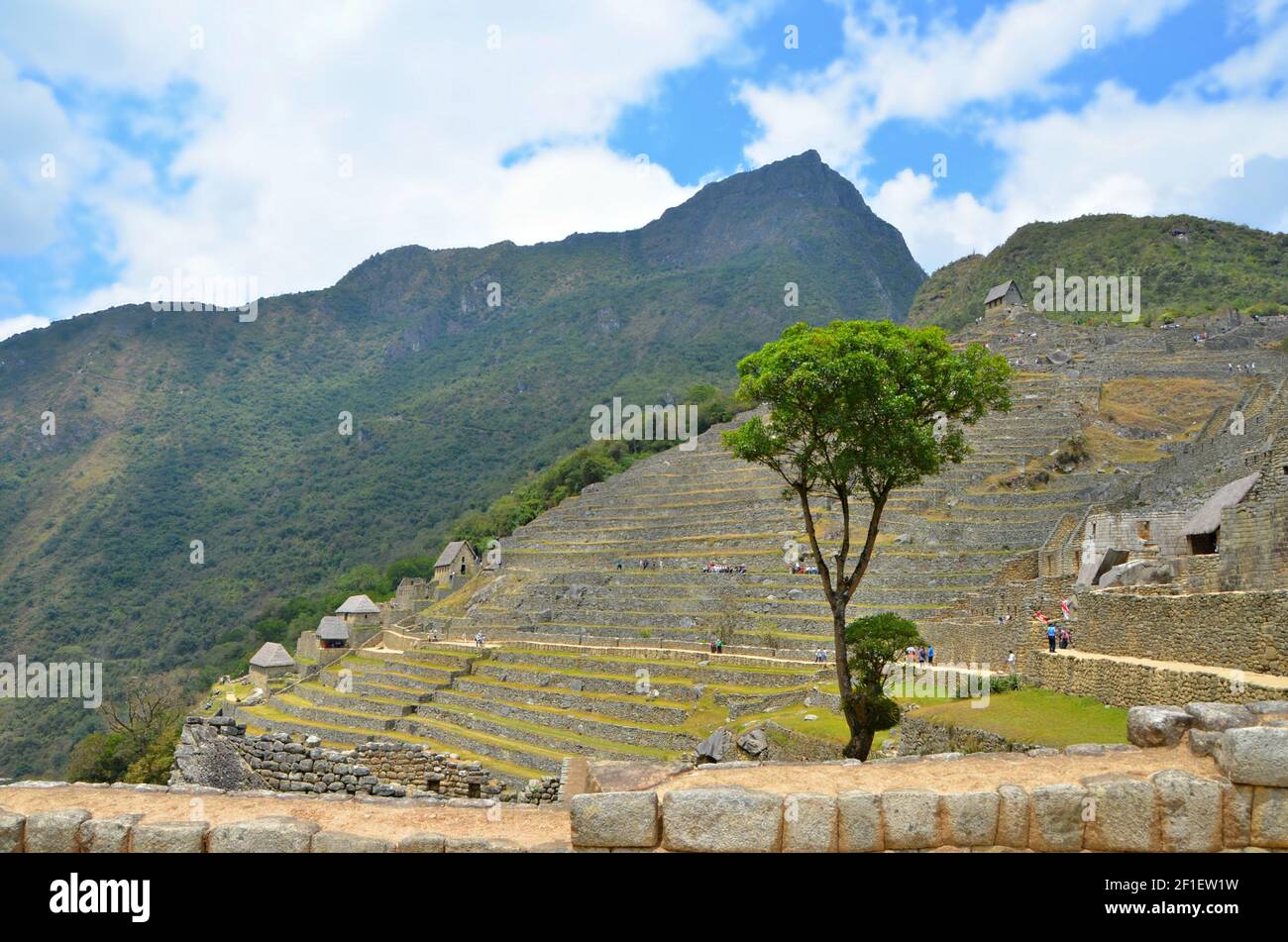 Landscape with panoramic view of the Inca farming terraces at Machu ...
