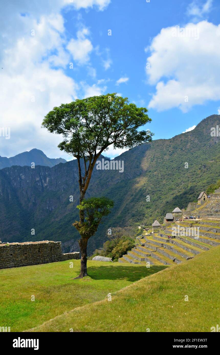 Landscape with panoramic view of the Inca farming terraces at Machu ...