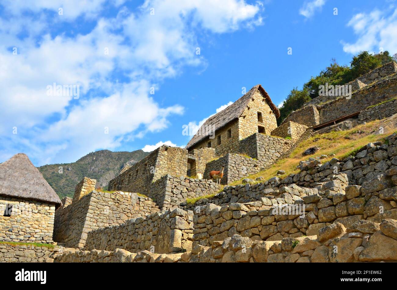 Terraces huts machu picchu ruins hi-res stock photography and images ...