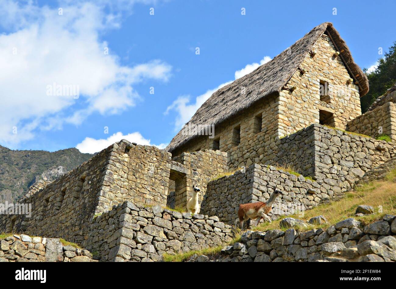 Inca Houses With Thatched Roof