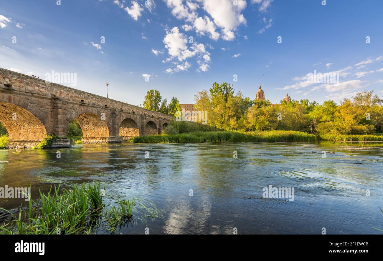 Ancient Roman bridge over Tormes river in Salamanca, Spain Stock Photo ...