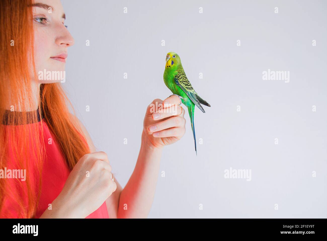 The beautiful woman admires her beautiful parrots Stock Photo - Alamy