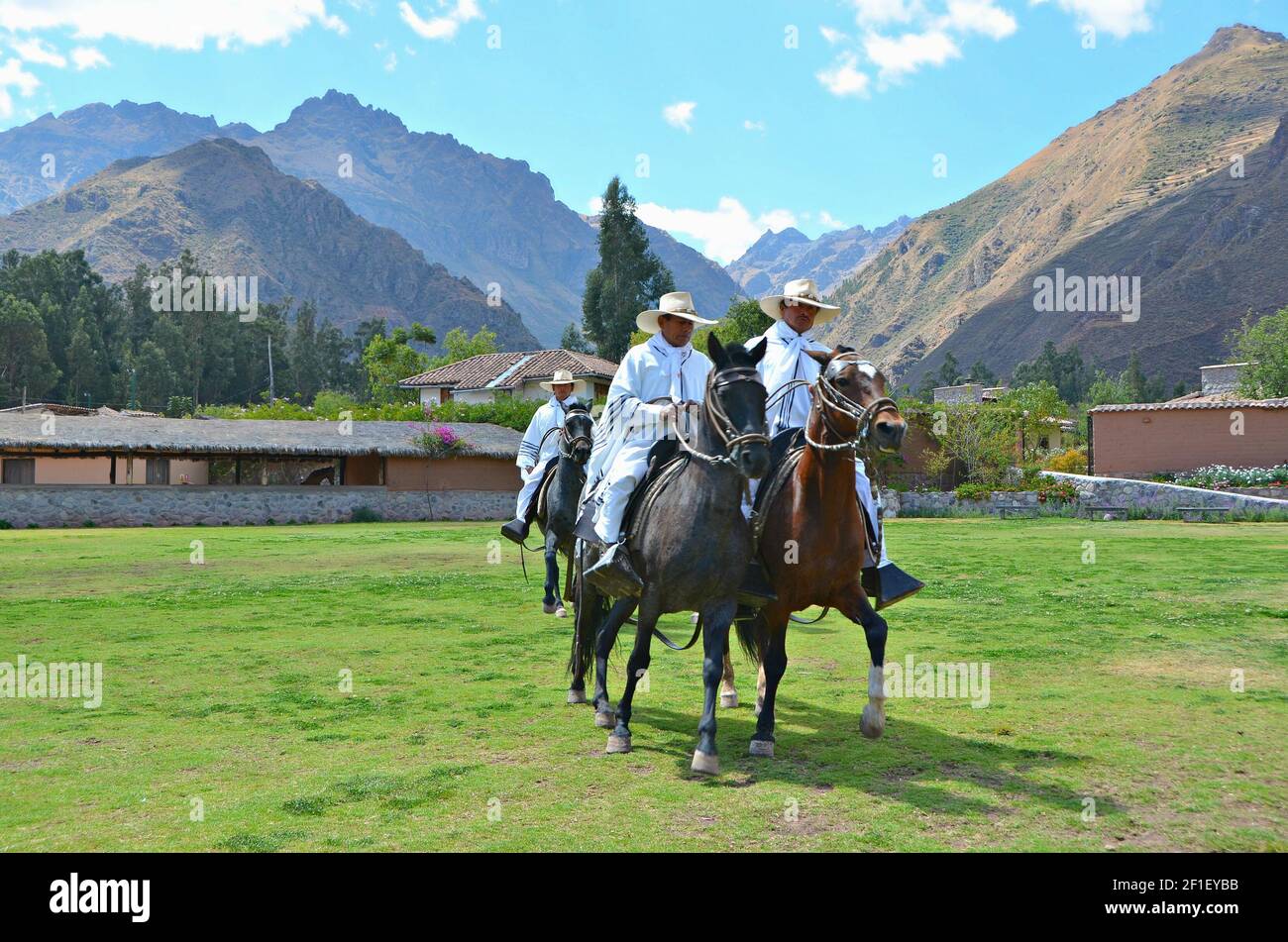 Native Peruvian gauchos riding their Paso horses in the countryside of ...