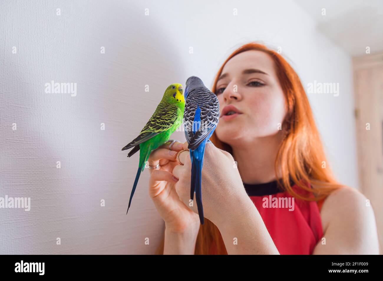 Parrot owner hi-res stock photography and images - Alamy