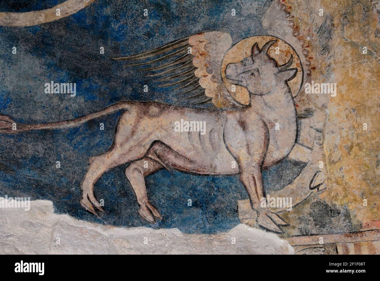 Horned ox with halo hi-res stock photography and images - Alamy