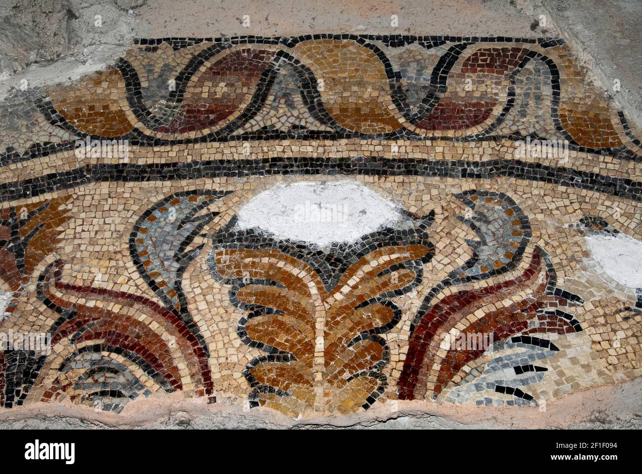 Small area of mosaic pavement preserved within the early 500s AD ...