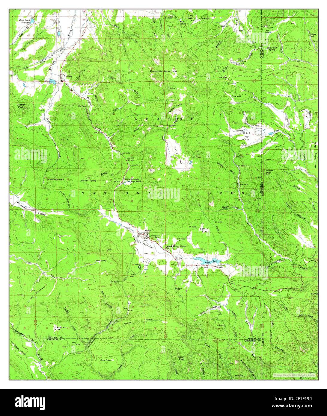 Alpine, Arizona, map 1958, 1:62500, United States of America by ...