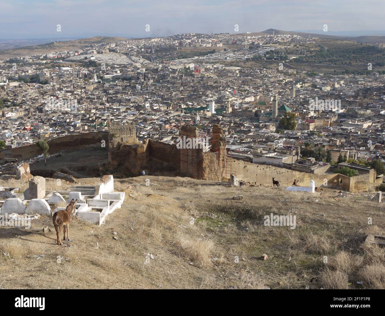 General scenes of people and places in the town of FEZ in the North ...