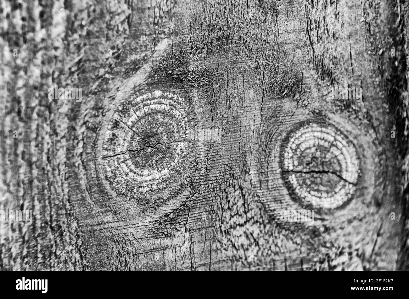 Weathered wood knot background Black and White Stock Photos & Images ...