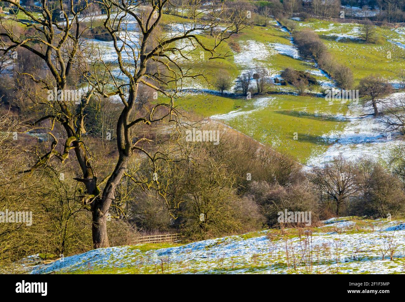 Snow covered landscape with trees at Starkholmes near Matlock Bath in ...