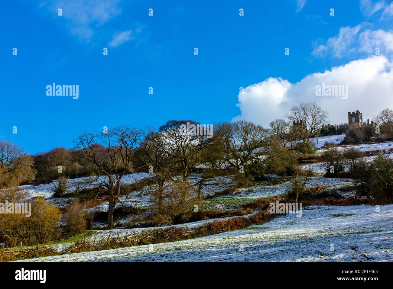 Riber Castle a 19th century grade 2 listed country house built by John ...