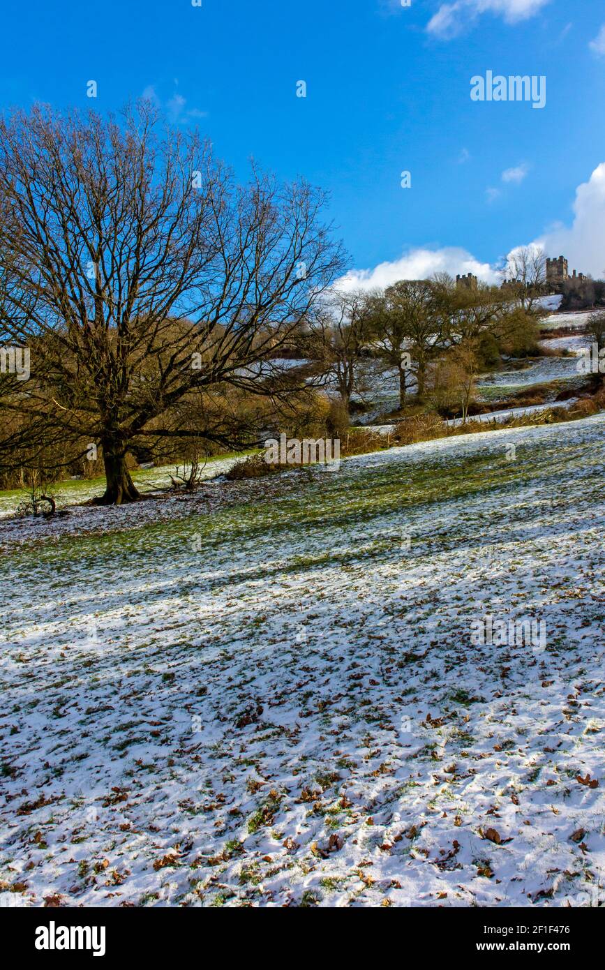 Riber Castle a 19th century grade 2 listed country house built by John ...