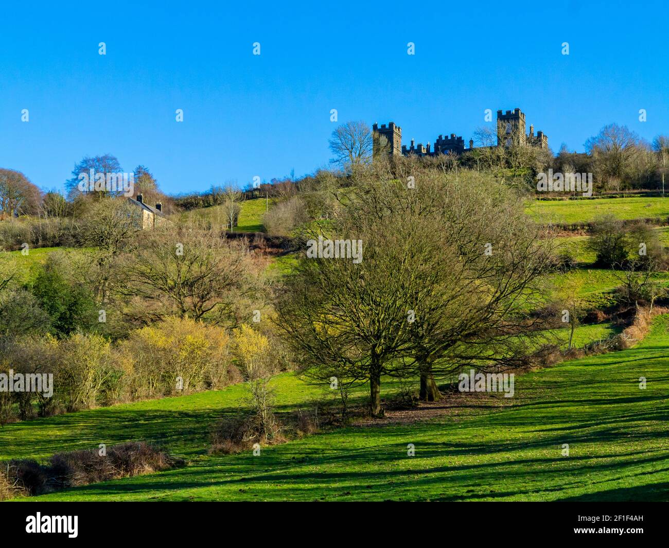Riber Castle a 19th century grade 2 listed country house built by John ...