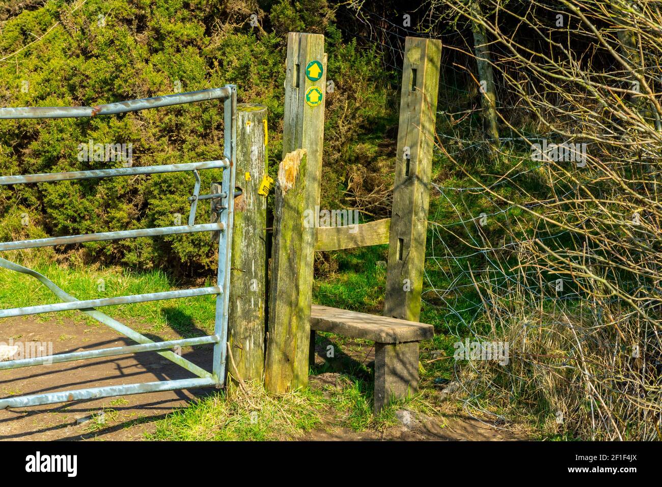 Wooden stile on a public footpath in a field in the British countryside ...