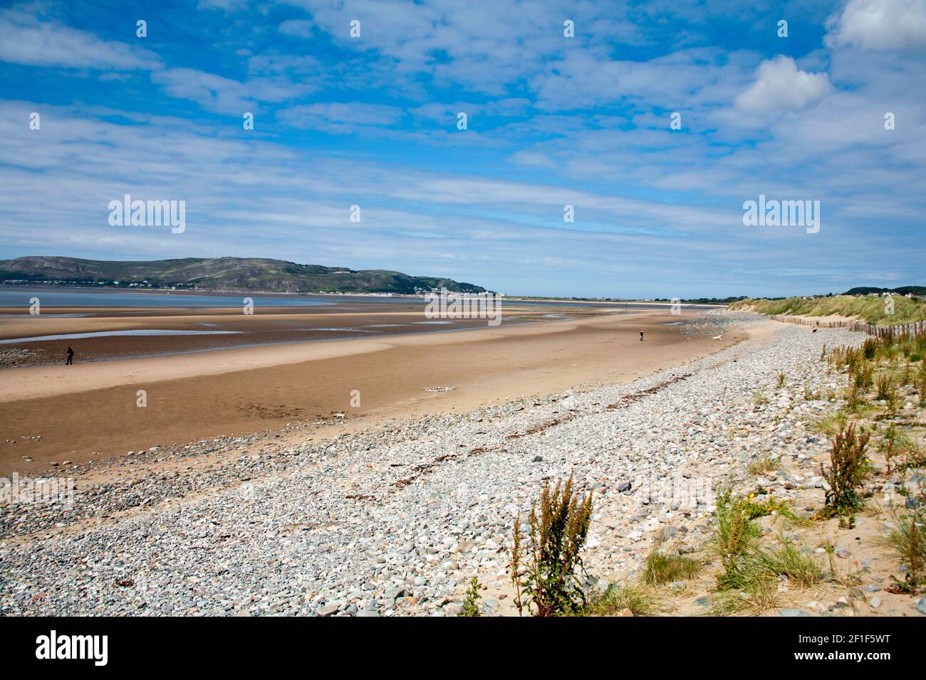 The Great Orme viewed across Conwy Sands from Morfa Conwy Snowdonia North Wales Stock Photo - Alamy
