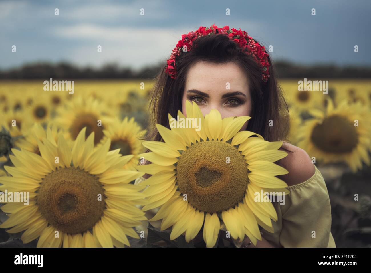 Model in sunflower field Stock Photo - Alamy