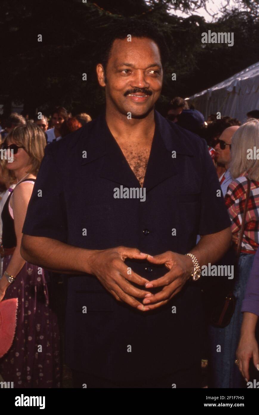Reverend Jesse Jackson attends the 'Democratic Change and Voter ...