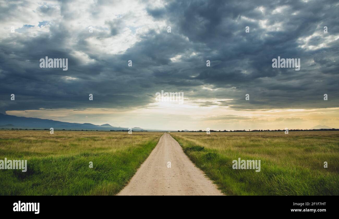 Grass track through field hi-res stock photography and images - Alamy
