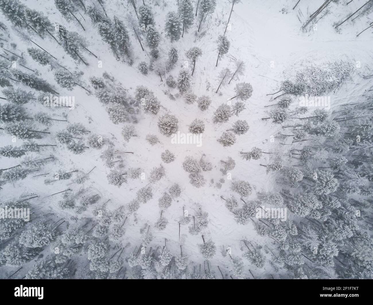 Snowy scene and fence hi-res stock photography and images - Alamy