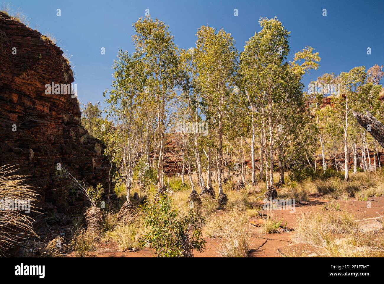 KALAMINA GORGE, KARIJINI NATIONAL PARK, WESTERN AUSTRALIA, AUSTRALIA ...