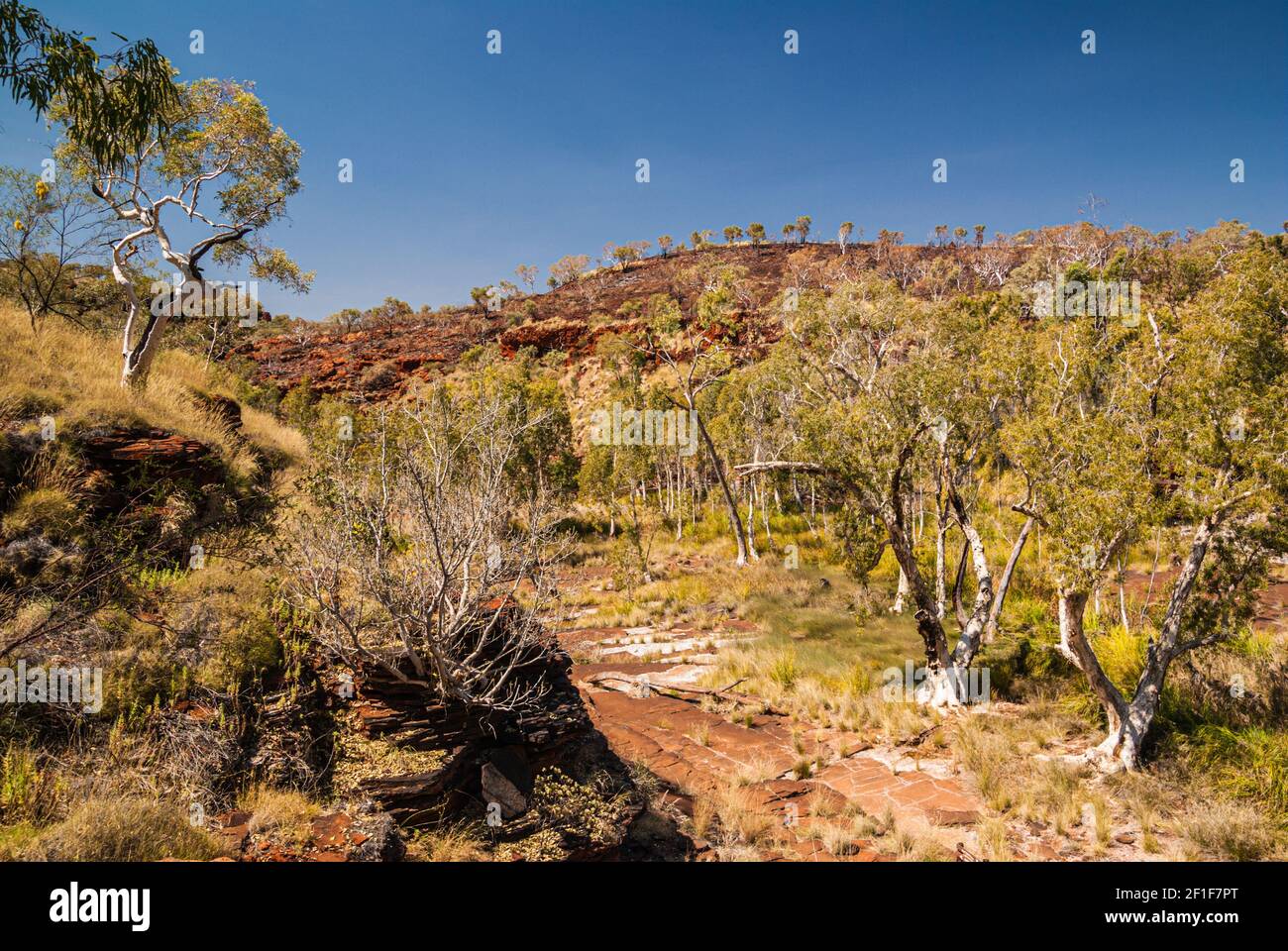 KALAMINA GORGE, KARIJINI NATIONAL PARK, WESTERN AUSTRALIA, AUSTRALIA ...