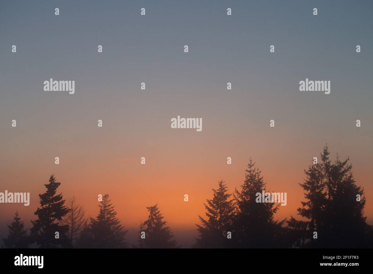 Silhouetted trees in front of dramatic sunrise in Eugene, Oregon, USA ...