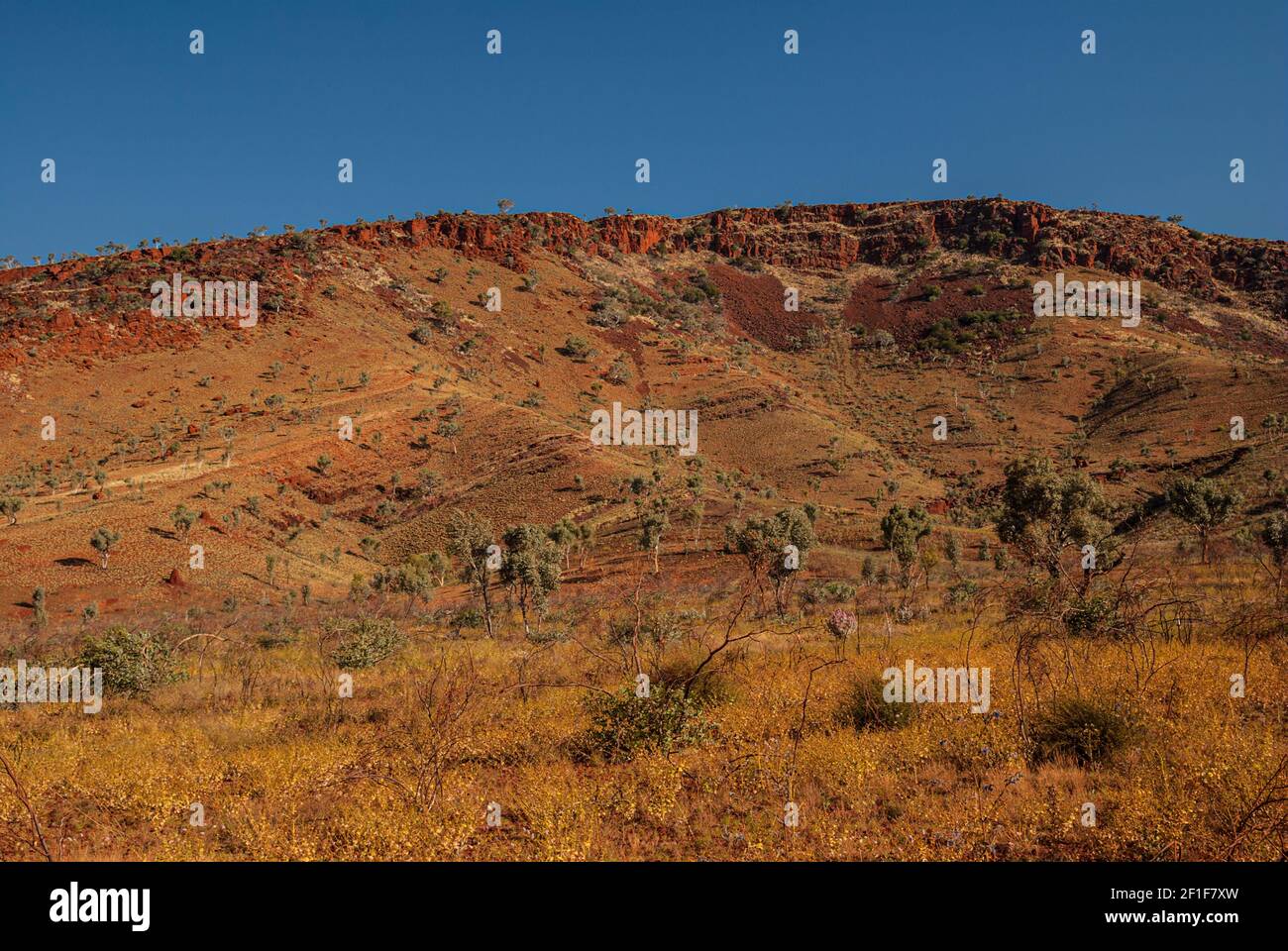 KALAMINA GORGE, KARIJINI NATIONAL PARK, WESTERN AUSTRALIA, AUSTRALIA ...