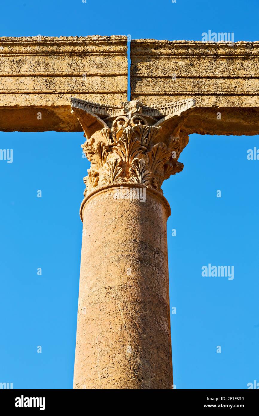 The antique column and archeological site classical heritage Stock ...