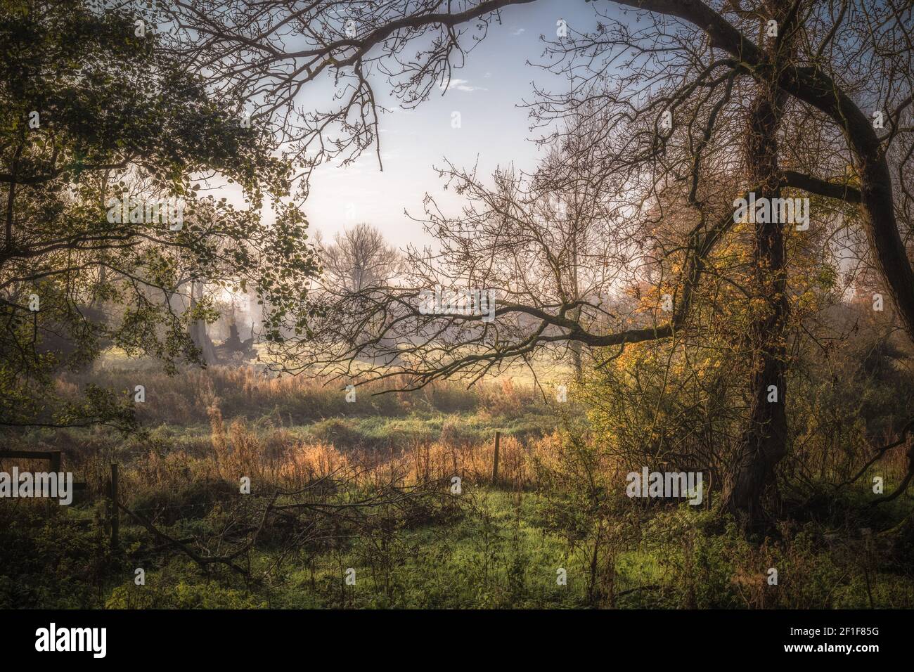 Warwickshire scenery hi-res stock photography and images - Alamy