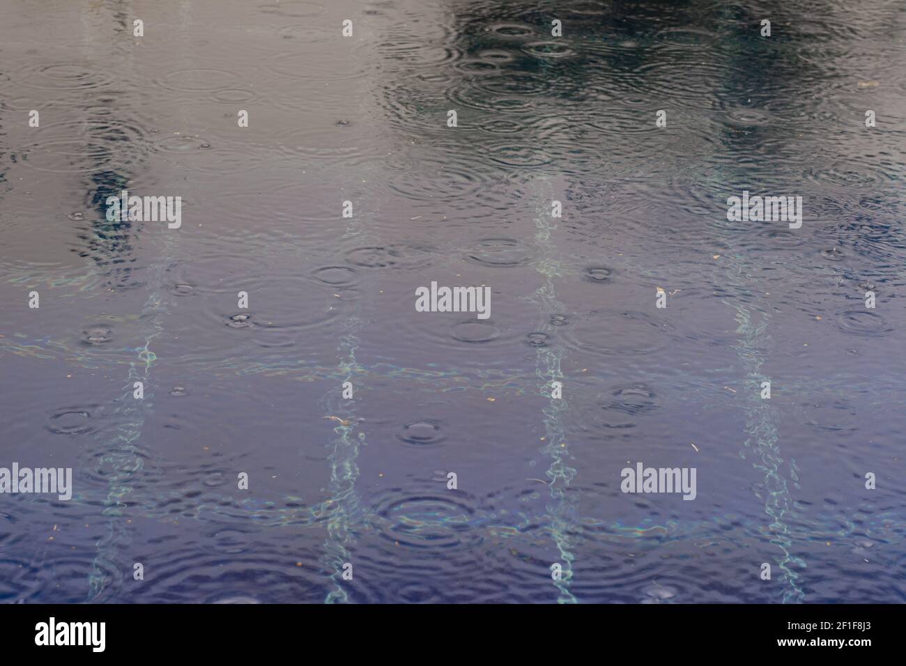 A closeup of raindrops falling in a puddle on an asphalt road Stock ...