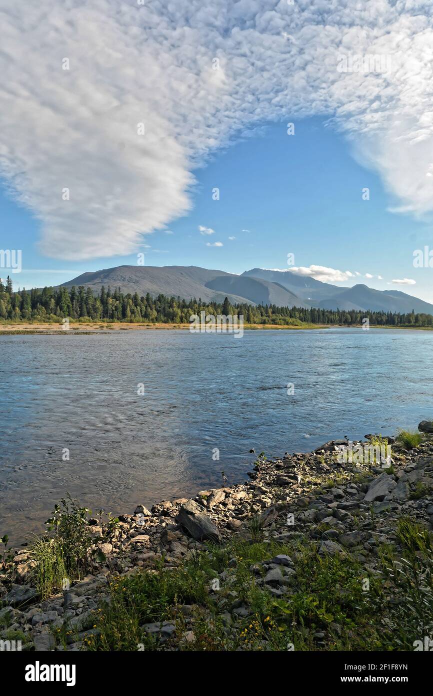 Summer in the Northern Urals. National Park "Yugyd Va", Virgin Komi ...