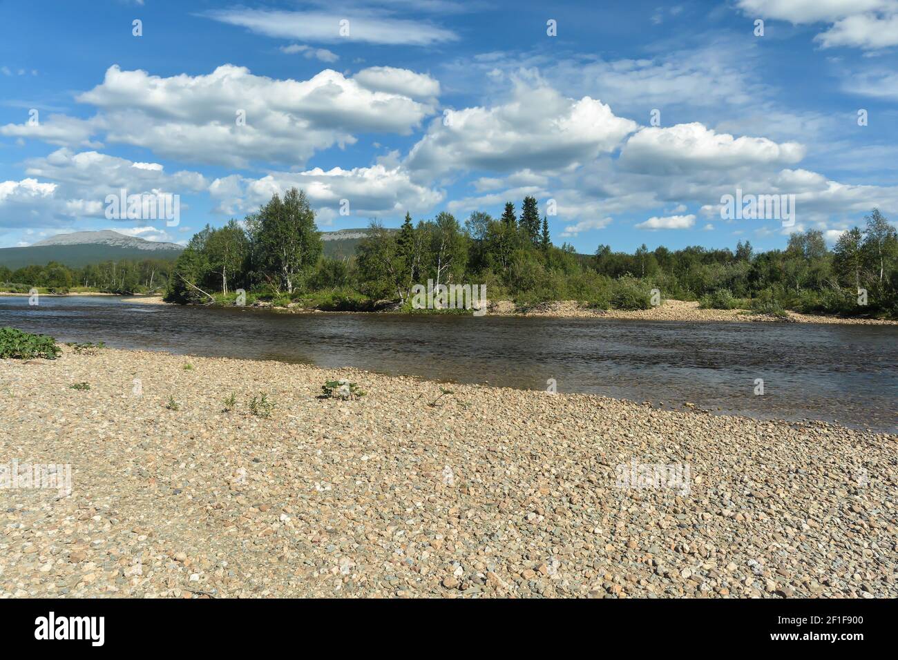 Summer in the Northern Urals. National Park "Yugyd Va", Virgin Komi ...
