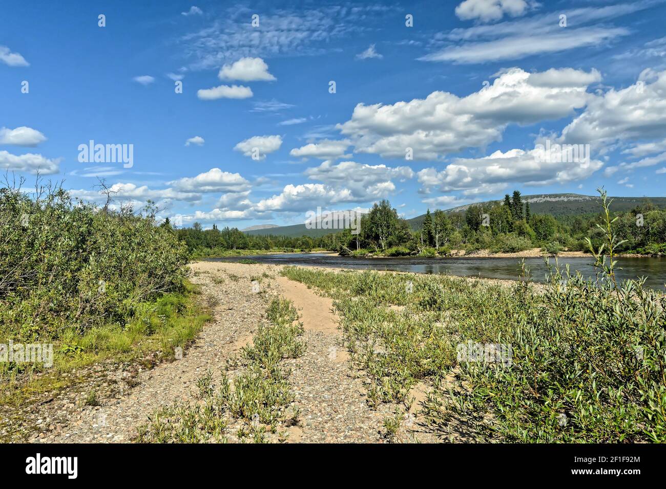 Summer in the Northern Urals. National Park "Yugyd Va", Virgin Komi ...