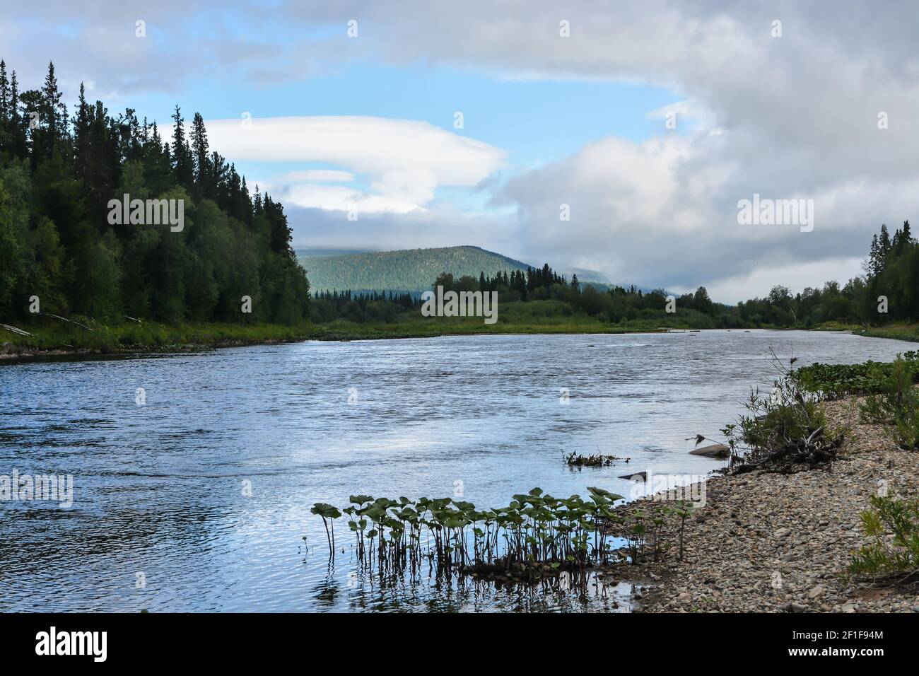 Summer in the Northern Urals. National Park "Yugyd Va", Virgin Komi ...
