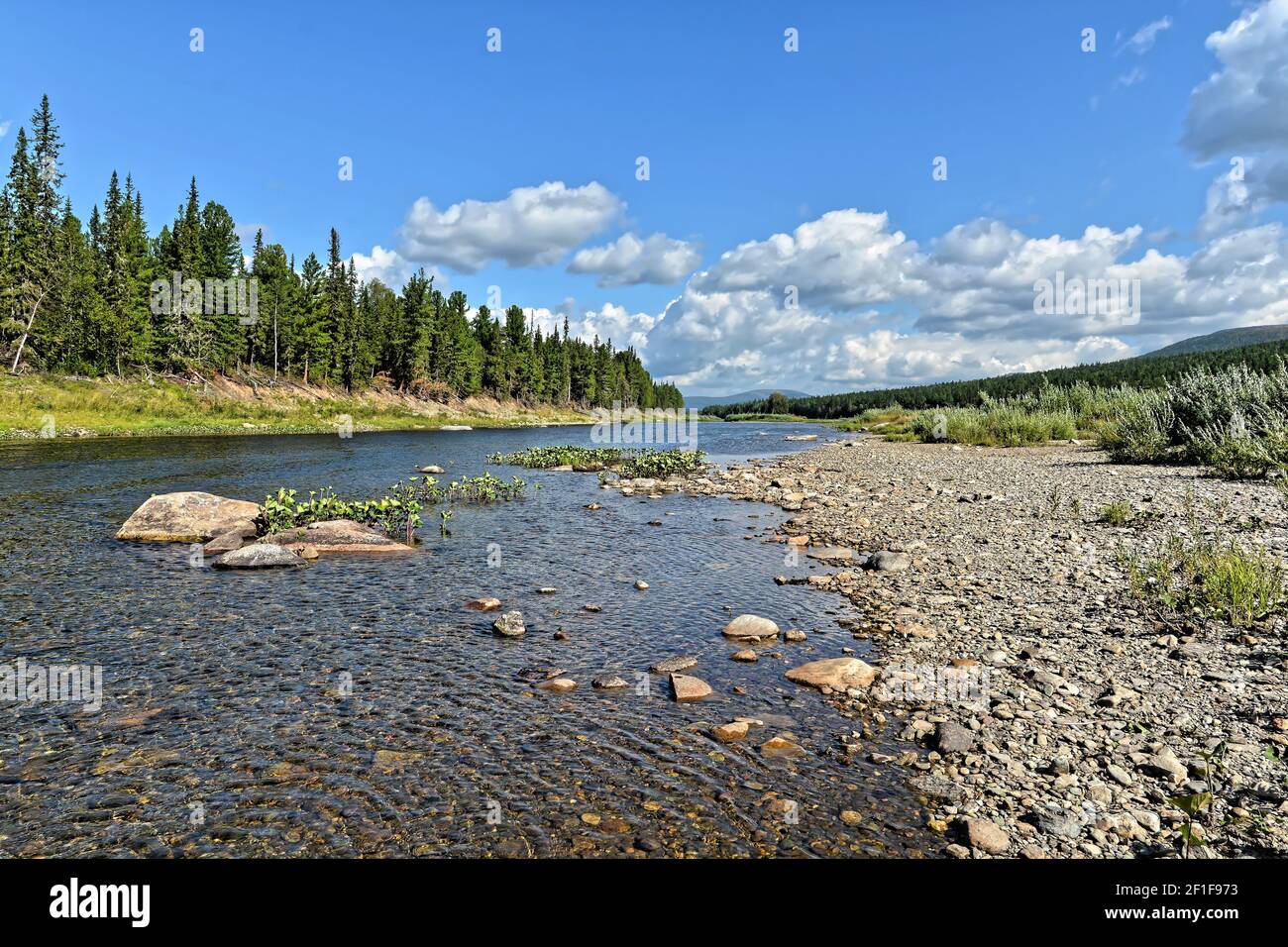Summer in the Northern Urals. National Park "Yugyd Va", Virgin Komi ...