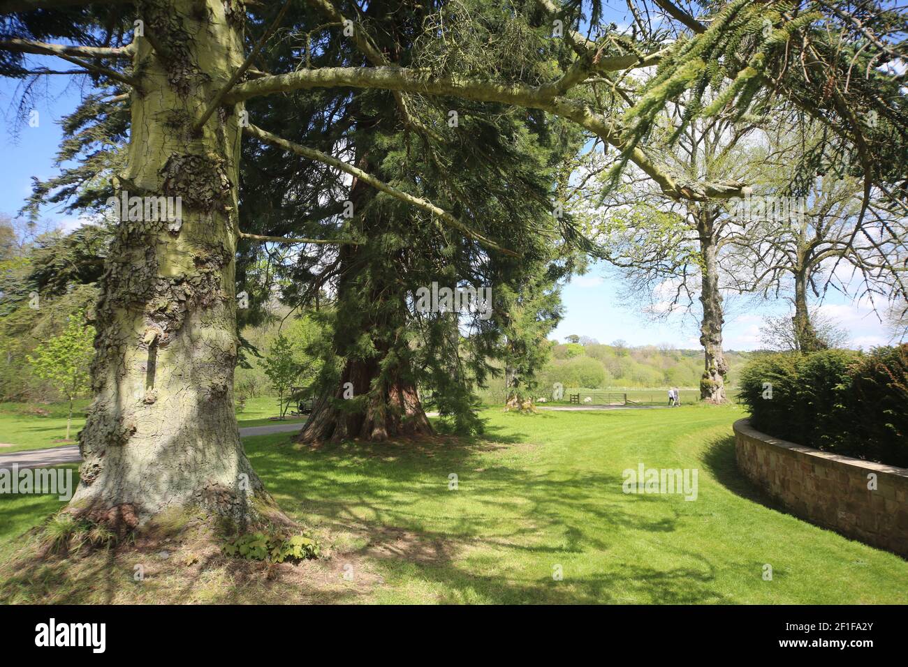 Dumfries House, Cumnock , East Ayrshire, Scotland, UK Grounds and ...