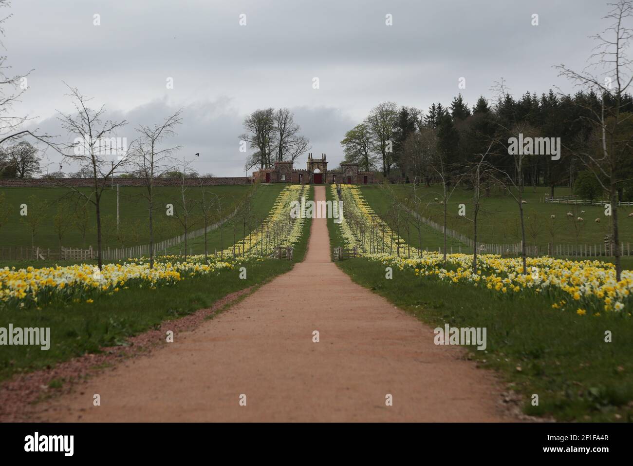 Estate walk dumfries house estate hi-res stock photography and images ...